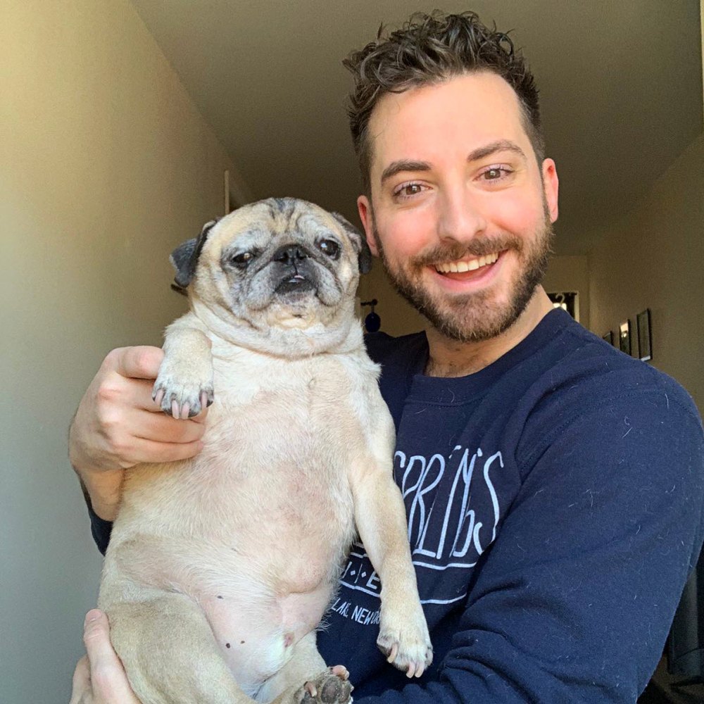 TikTok's Favorite Dog Noodle the Pug Dead at Age 14 | Us Weekly