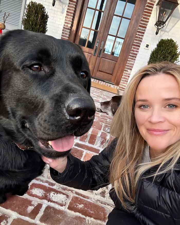 Reese Witherspoon's Sweetest Moments With Her Dogs: Photos | Us Weekly