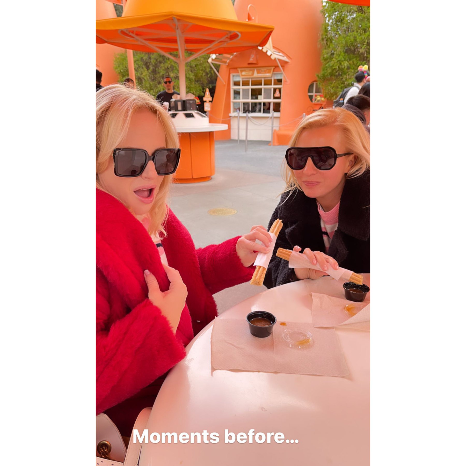 Rebel Wilson, Ramona Agruma Get Engaged at Disneyland: See Ring | Us Weekly