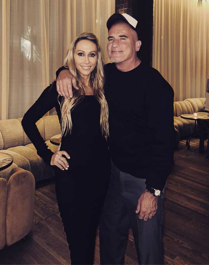 Tish Cyrus Thinks She's Found 'Soulmate' With Dominic Purcell | Us Weekly