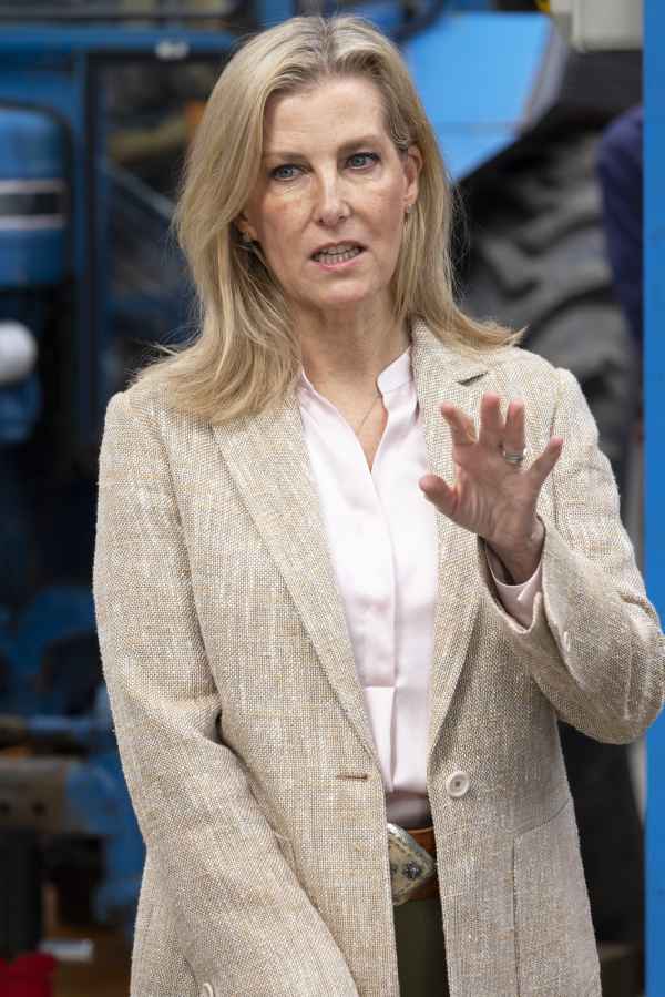 Duchess Sophie News - Us Weekly