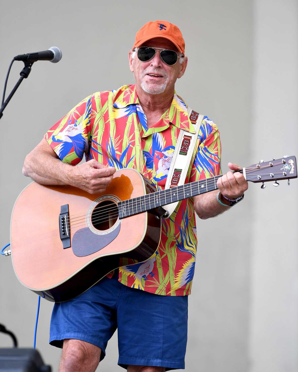 Jimmy Buffett Postpones Show After Hospitalization for Medical ...
