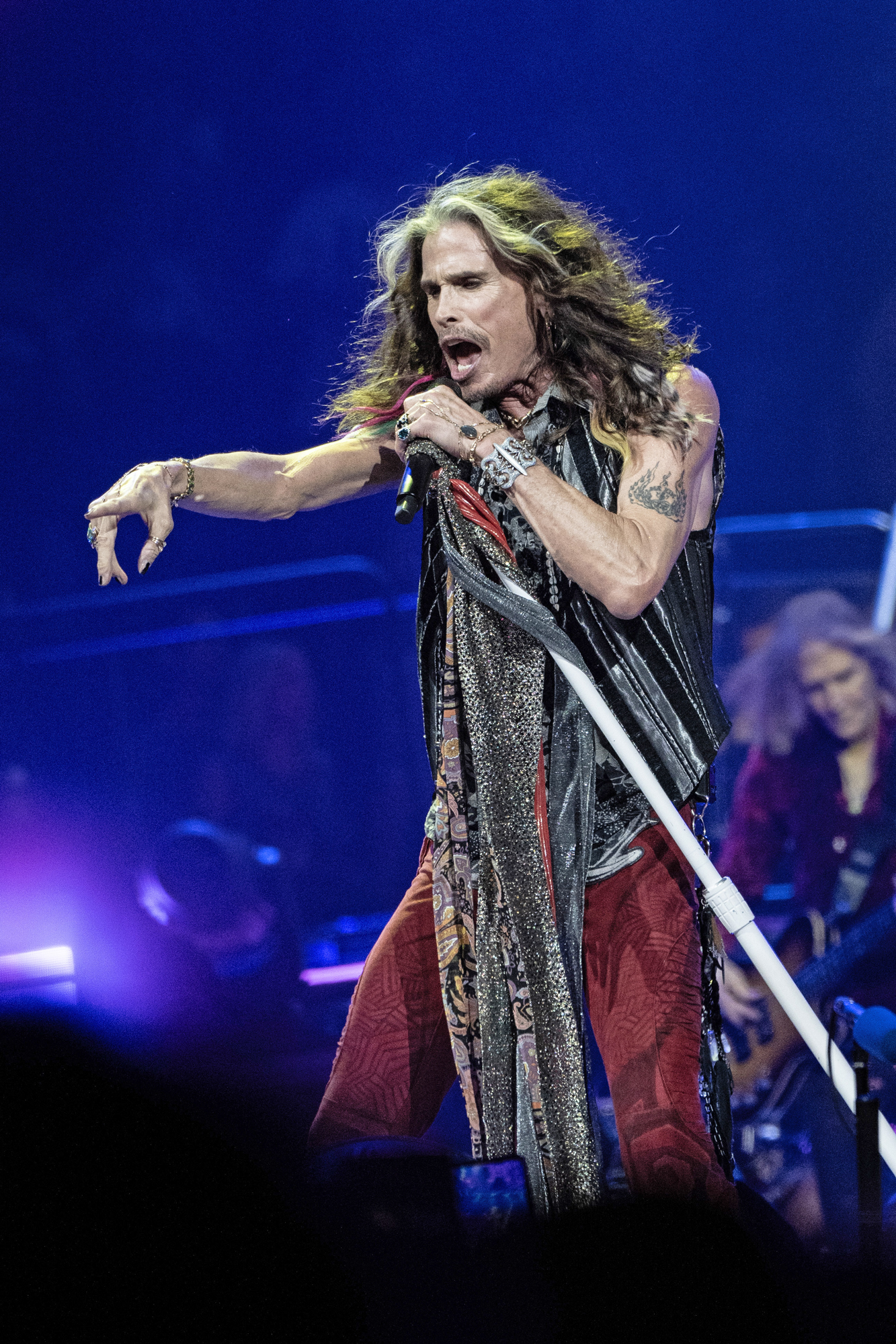 Steven Tyler Singing 1970s