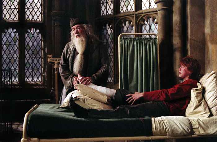 Harry Potter’s Dumbledore Sir Michael Gambon Dead at 82 | Us Weekly