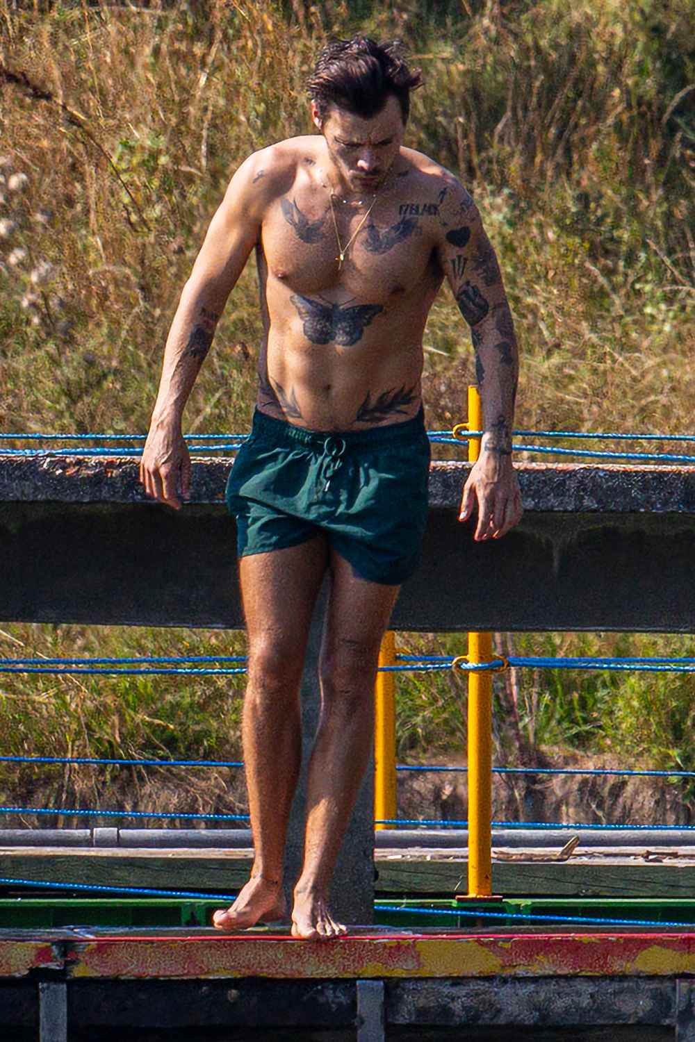 Harry Styles News - Us Weekly