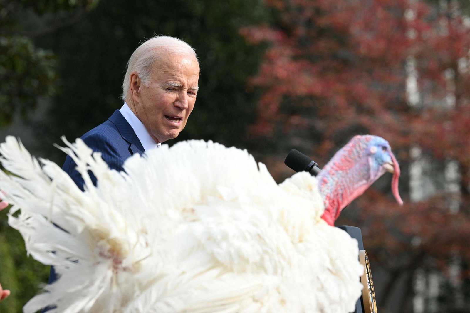Joe Biden Confuses Taylor Swift and Britney Spears at Turkey Pardon ...
