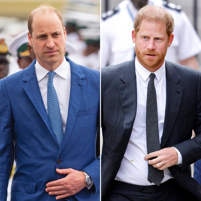 Prince William ‘No Longer Even Recognizes’ Prince Harry, Book Claims ...