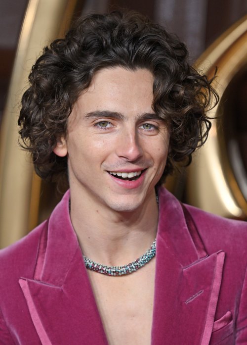 All About Timothee Chalamet's Candy Necklace at 'Wonka' Premiere | Us ...