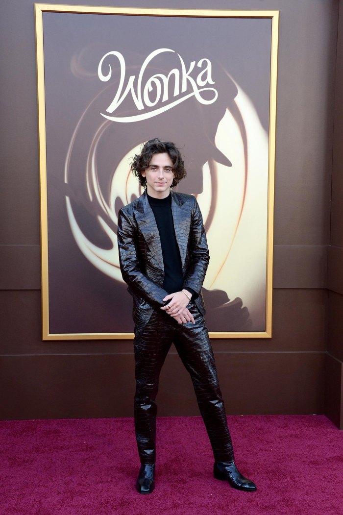 Timothee Chalamet’s Best Red Carpet Fashion: Pics | Us Weekly
