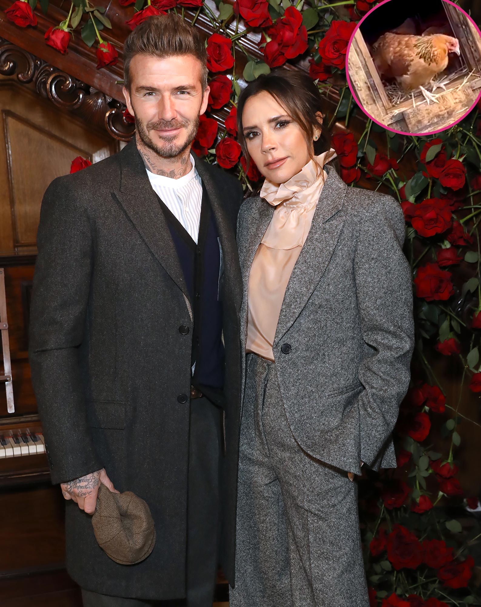 Victoria Beckham Gives David Beckham Chickens for Christmas | Us Weekly