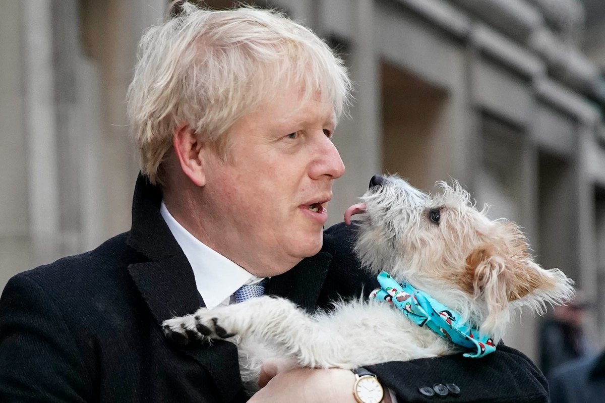 Boris Johnson Didn’t Tell Queen Elizabeth II His Dog Killed Her Swan ...