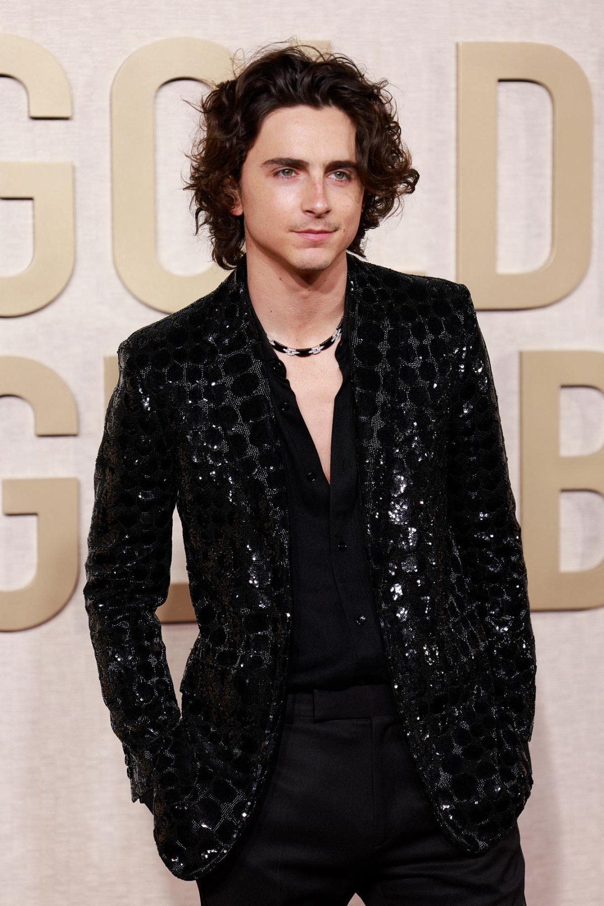 Timothee Chalamet Walks Golden Globes Carpet Without Kylie Jenner | Us ...