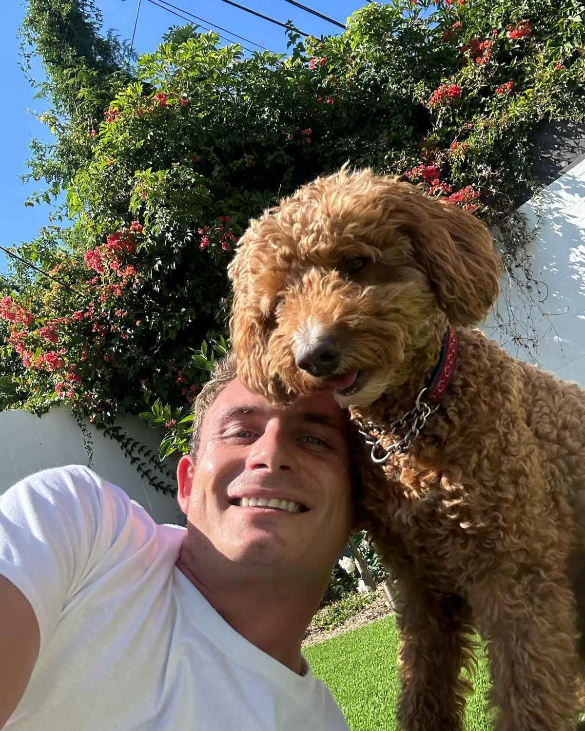 VPR Debunks Conspiracy About James Kennedy and Dog Graham’s Reunion ...