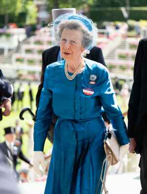 Princess Anne’s Kidnapping Attempt: Suspect Ian Ball's Arrest and More ...