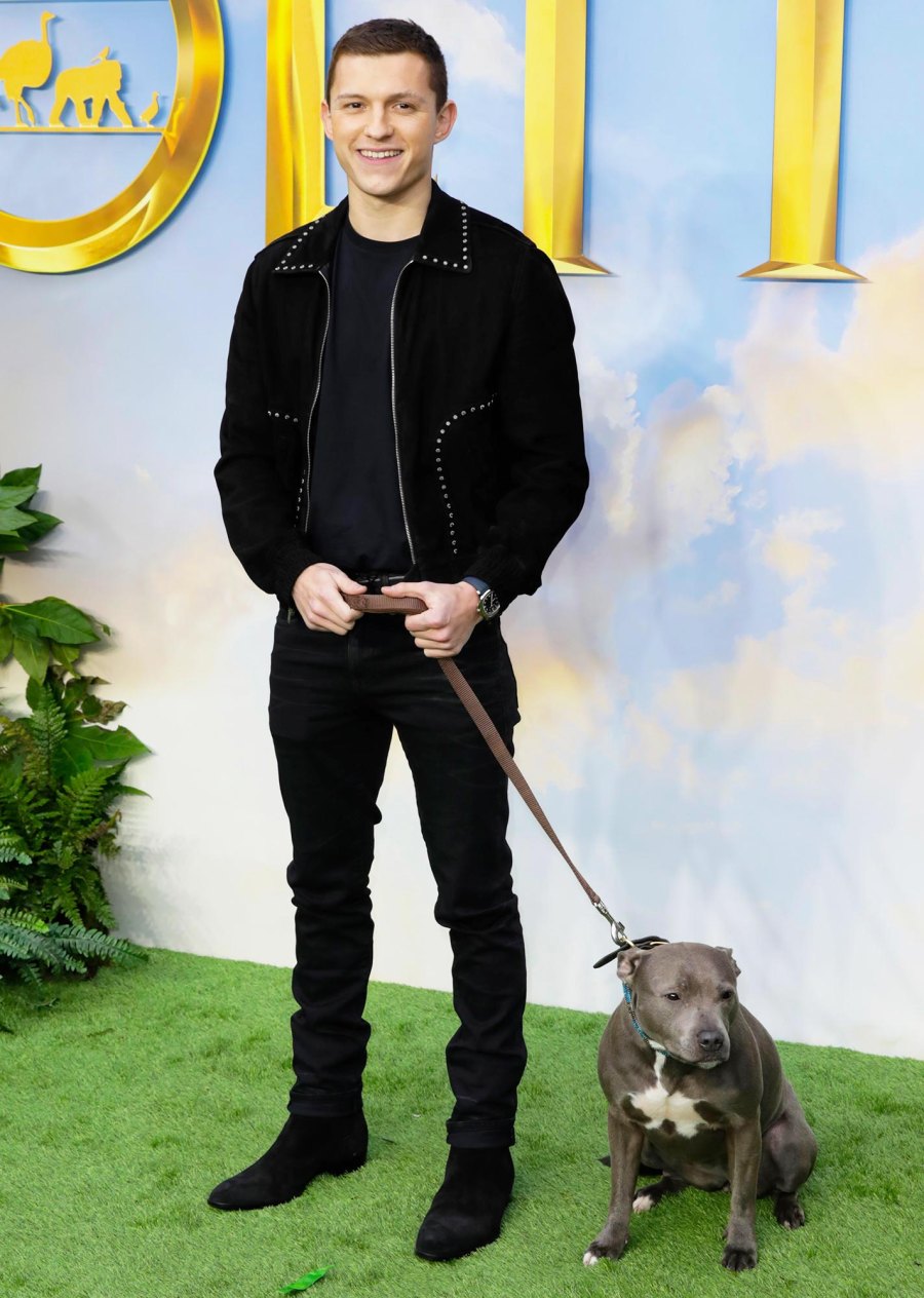 Tom Holland Mourns Death of Dog Tessa: 'Missing My Lady' | Us Weekly