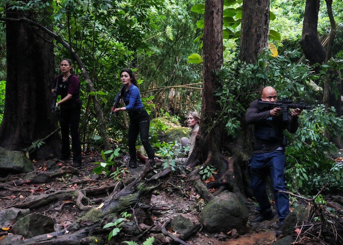NCIS: Hawai’i’s Jason Antoon Says LL Cool J Is a ‘Wrench’ in Season 3 ...