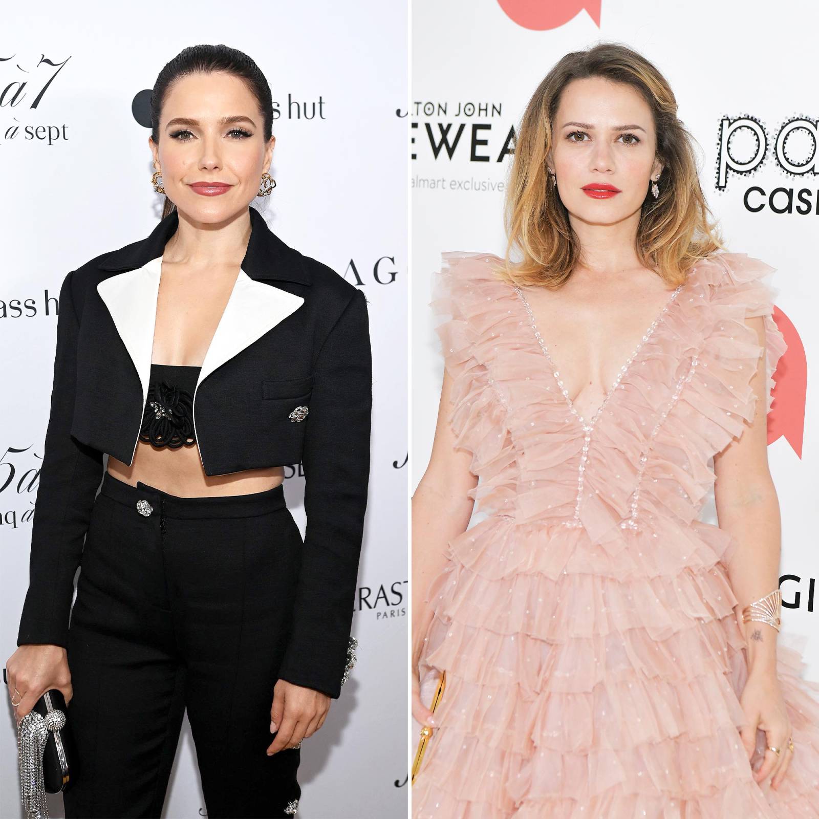 Sophia Bush, Bethany Joy Lenz React to OTH's Heart-Eating Dog Scene ...
