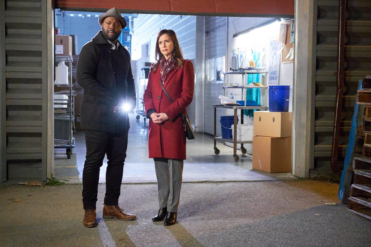 Viv Leacock Wants More Hailey Dean Mysteries With Kellie Martin | Us Weekly