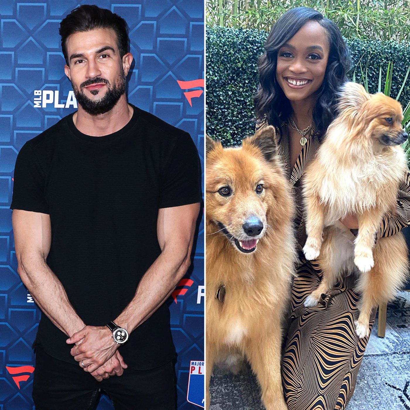 Bryan Abasolo Walks Rachel Lindsay’s Dogs Amid Divorce Drama | Us Weekly