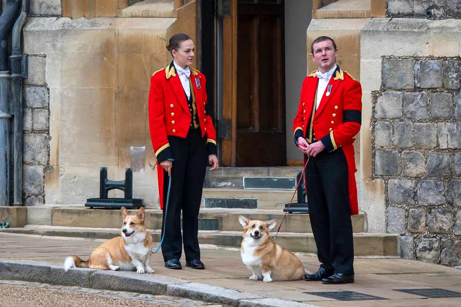 Sarah Ferguson Says Her and Queen Elizabeth's Dogs Get Along Well | Us ...