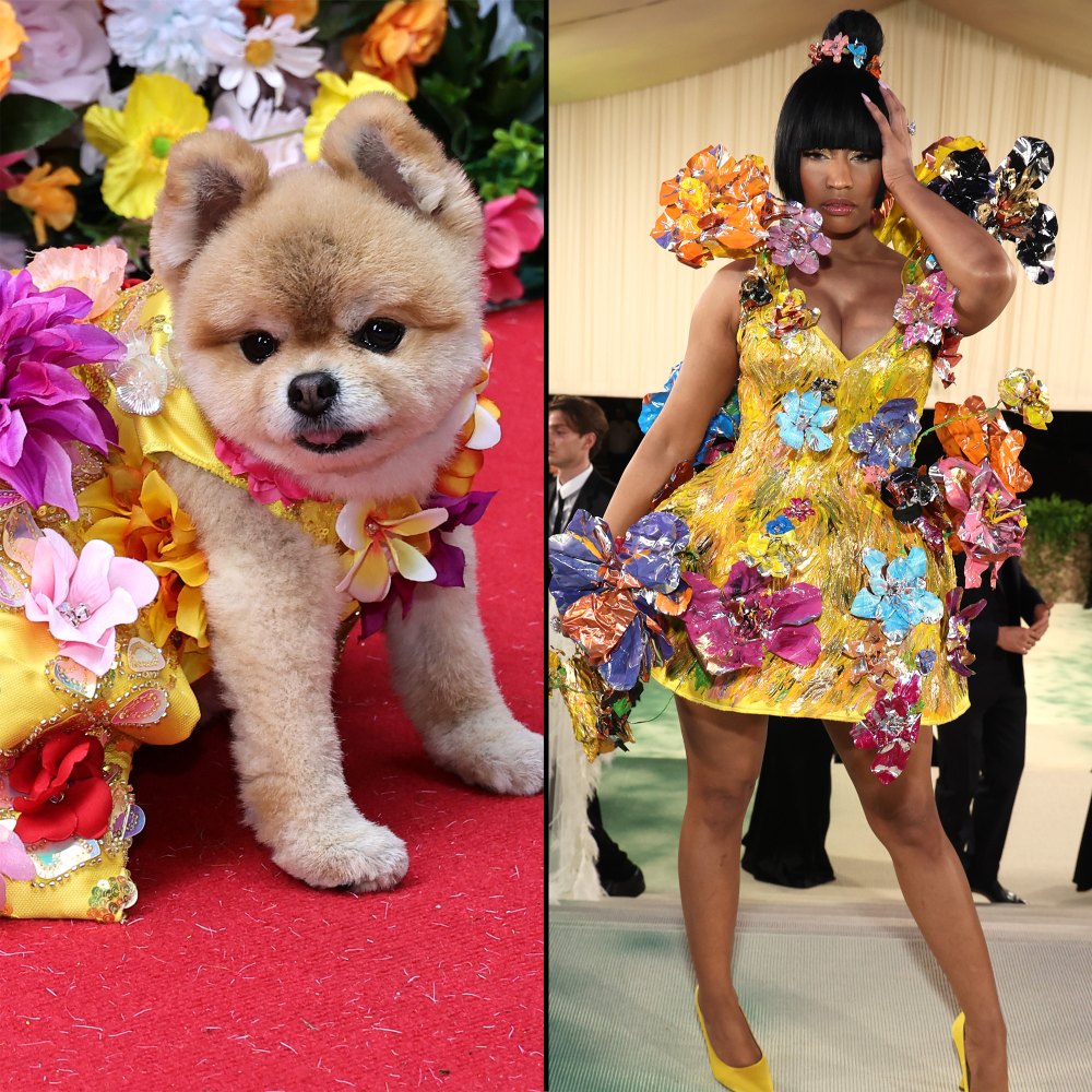 The Best Celebrity-Inspired Looks at the 2024 Pet Gala | Us Weekly