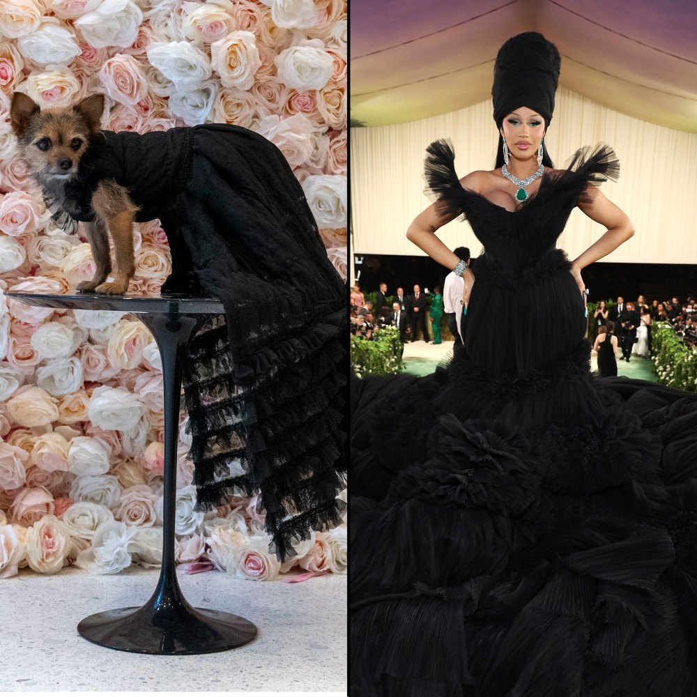 The Best Celebrity-Inspired Looks at the 2024 Pet Gala | Us Weekly