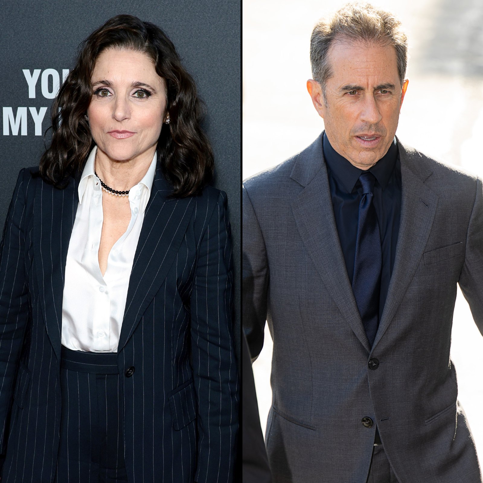 Julia Louis-Dreyfus Slams Jerry Seinfeld’s Comments on Comedy | Us Weekly