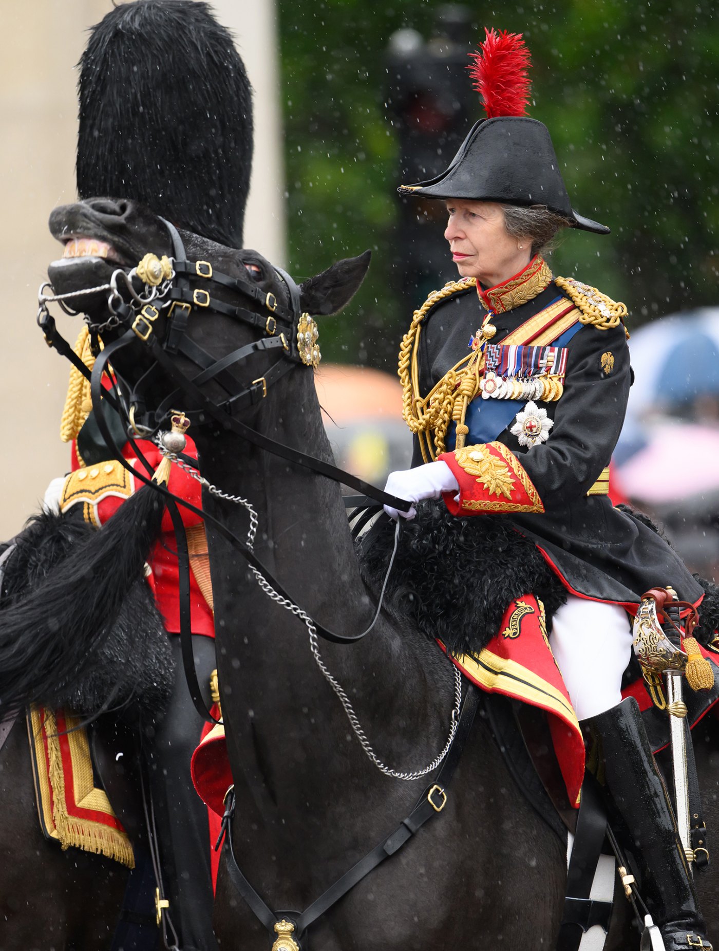 Princess Anne Hospitalized With Concussion, Minor Injuries | Us Weekly