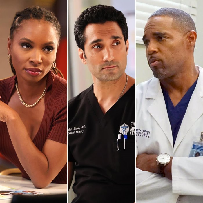 Fall 2024 TV Casting Changes: 'Found,' 'Grey's Anatomy' and More | Us ...