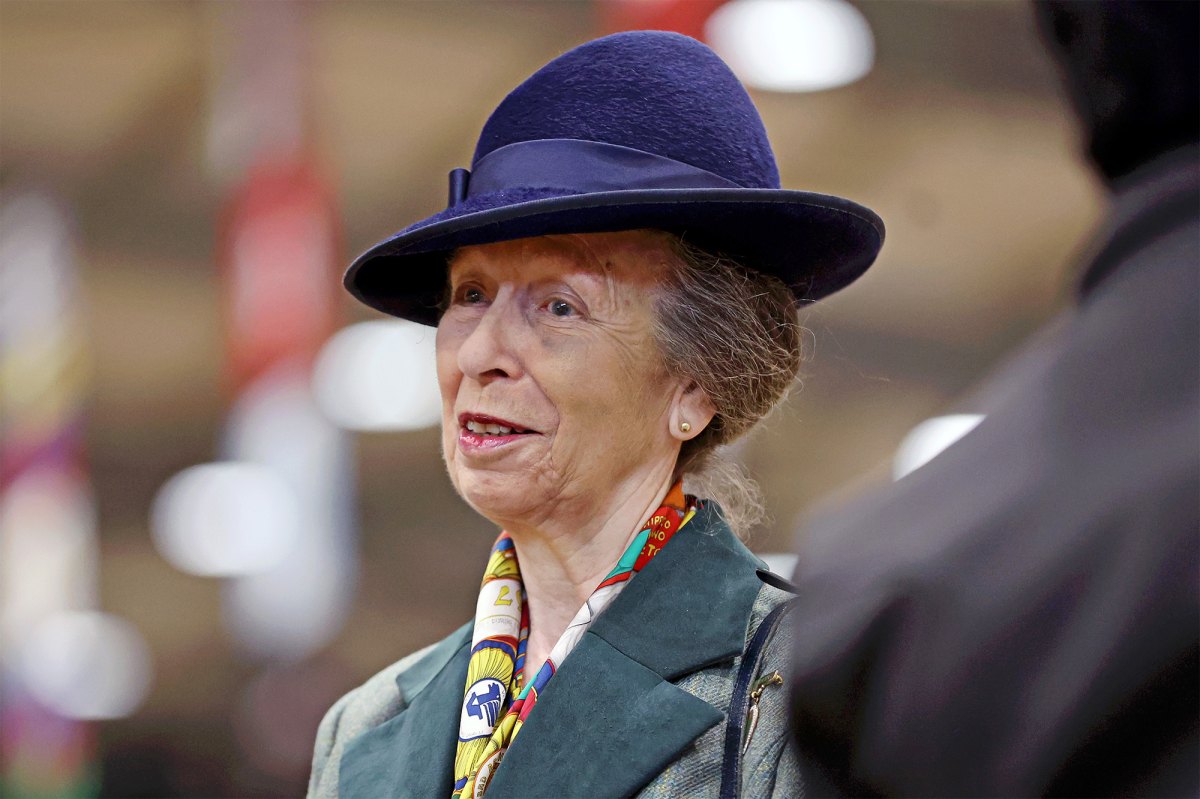 Princess Anne Makes 1st Public Appearance Following Hospitalization ...