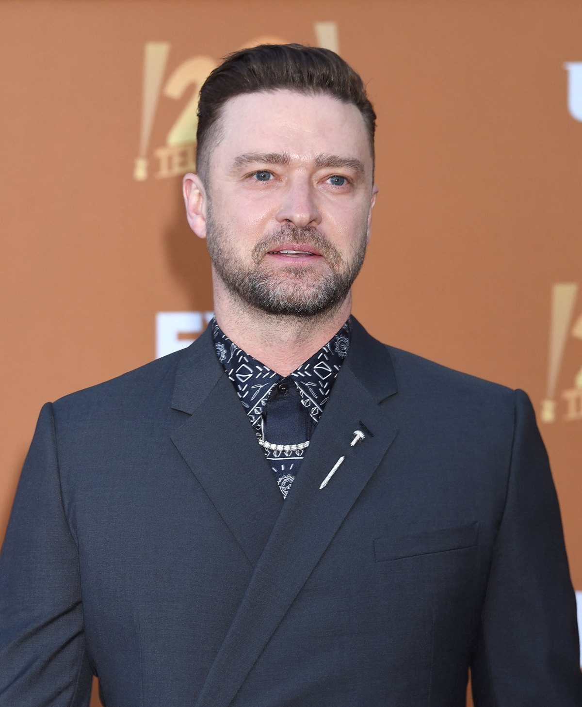 Justin Timberlake’s Mugshot Is Turned Into Art at Hamptons Gallery | Us ...