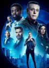 Chicago P.D. Season 12: Everything to Know About the New Season | Us Weekly