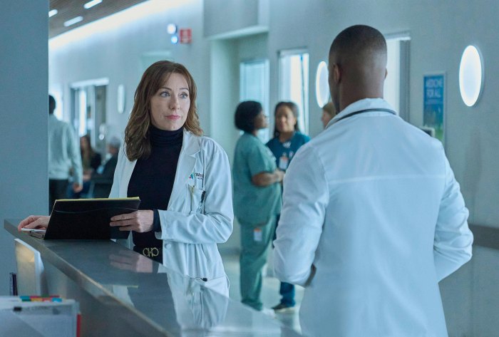 How the New Medical TV Shows Differ: Best Medicine, The Pitt and More ...