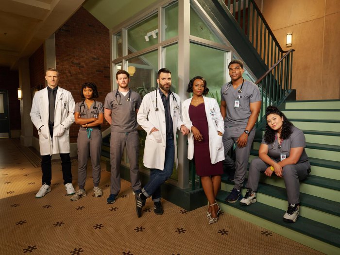 How the New Medical TV Shows Differ: Doctor Odyssey, The Pitt and More ...
