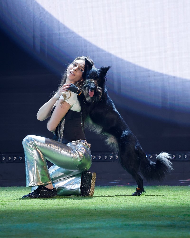 Roni Sagi and Dog Rhythm Wow the Judges with Queen-Themed Dance | Us Weekly