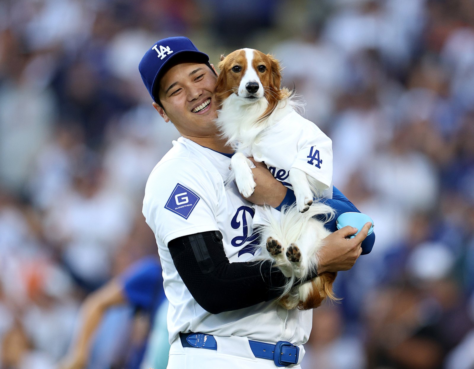 Shohei Ohtani’s Dog Threw Out the 1st Pitch at Dodgers Game | Us Weekly