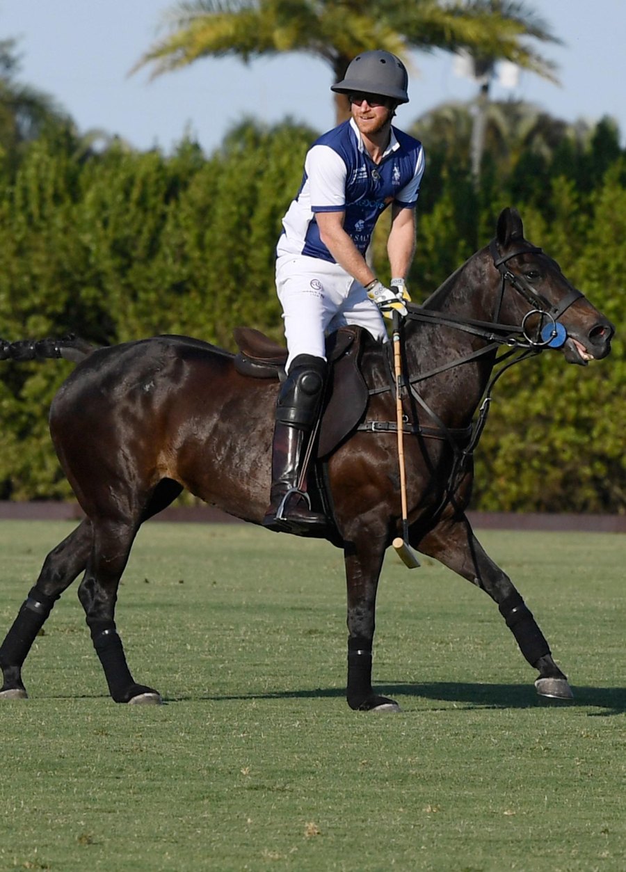 Everything to Know About Prince Harry’s Netflix Documentary Polo | Us ...