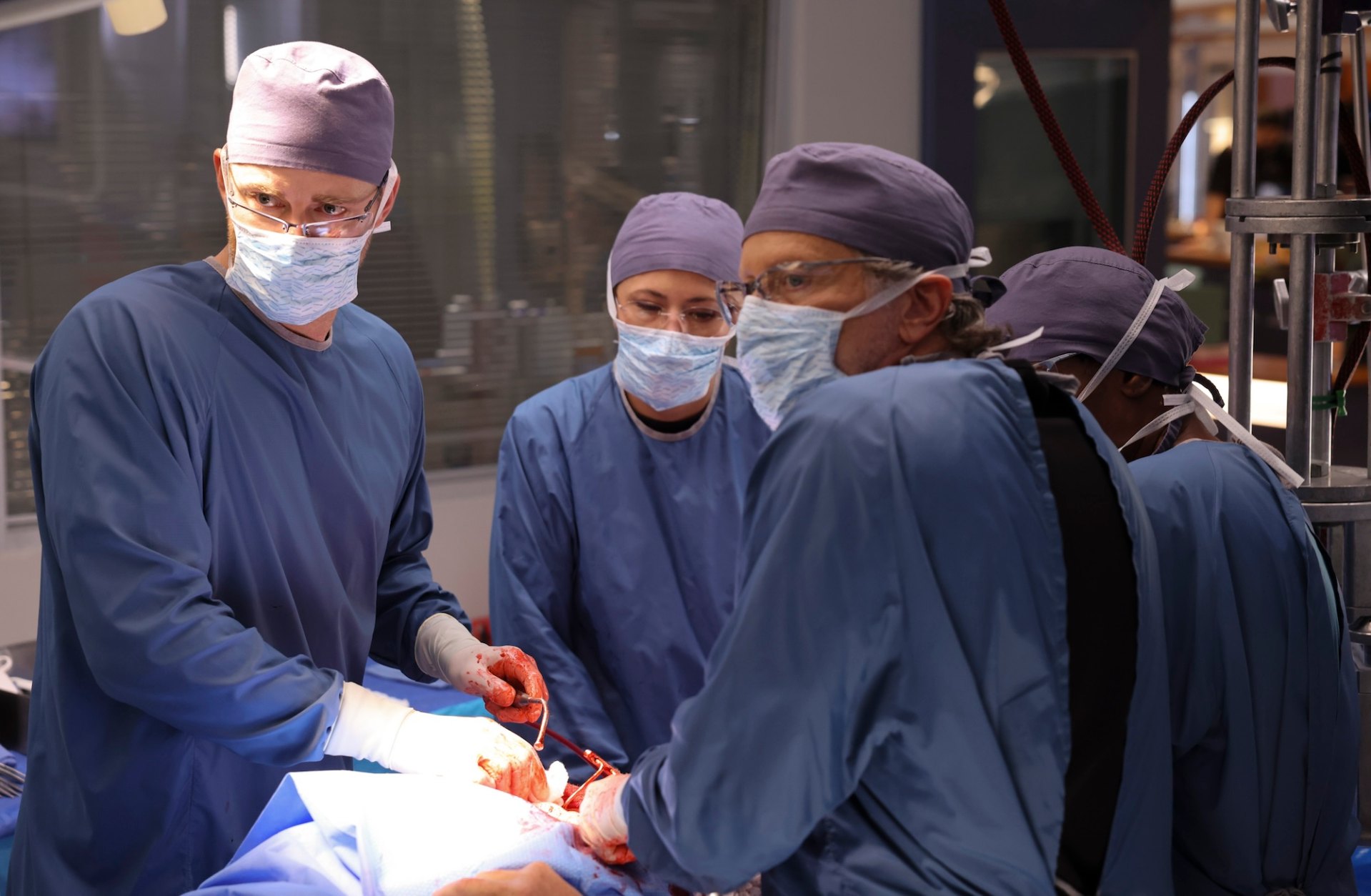 What Do Medical Dramas Use for Organs in Surgery Scenes? | Us Weekly