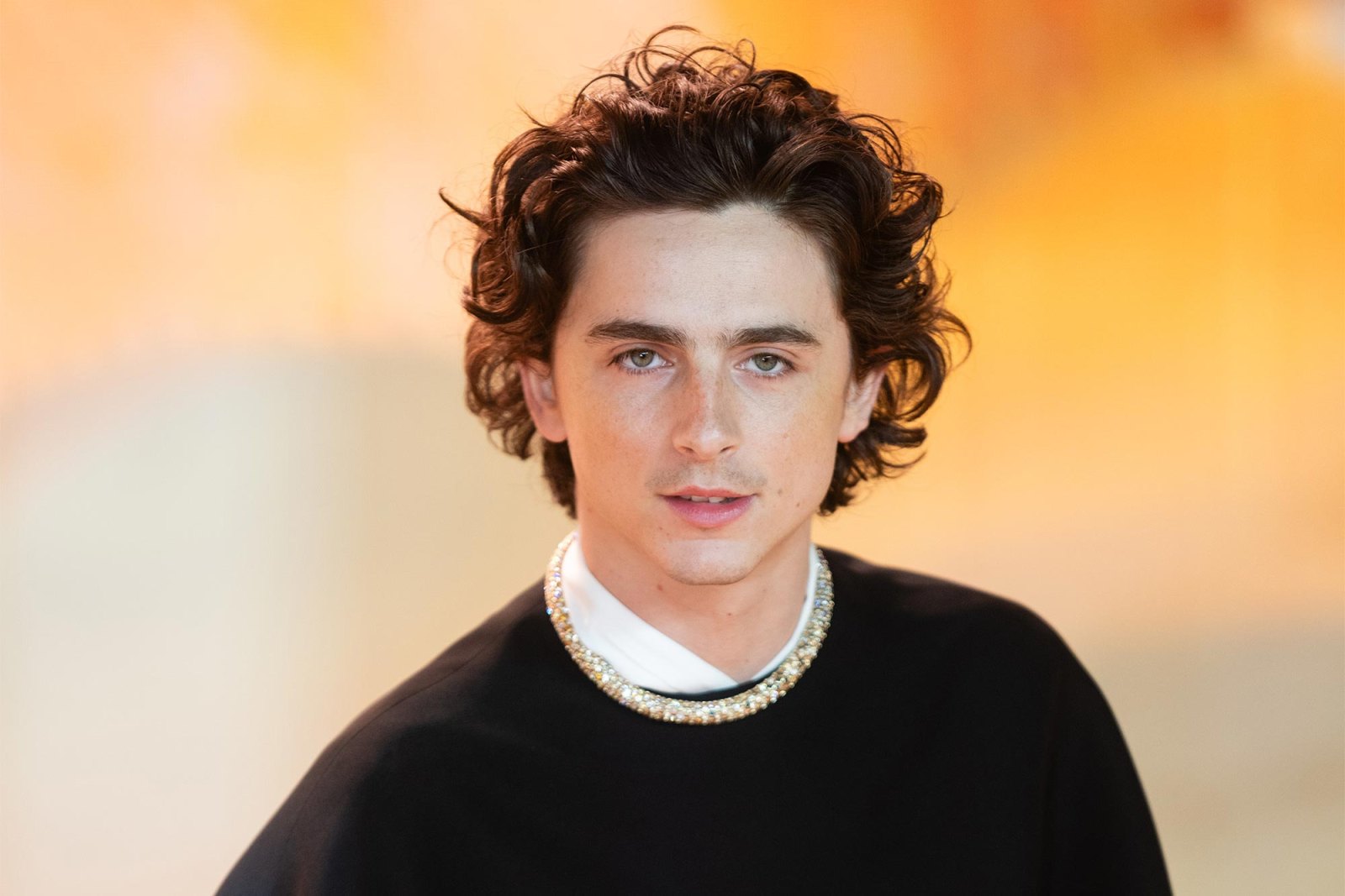 A Timothee Chalamet Lookalike Contest Is Headed to New York City | Us ...