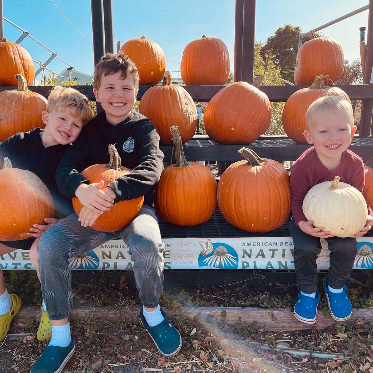 Today's Dylan Dreyer's Family Photos With Her 3 Kids | Us Weekly