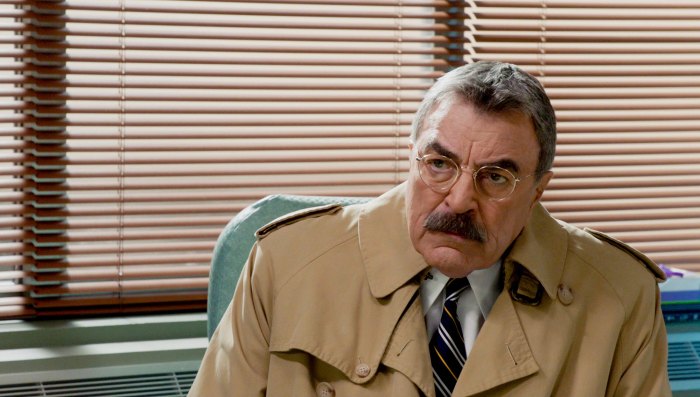 Blue Bloods Series Finale Air Date and Retrospective Special Confirmed ...