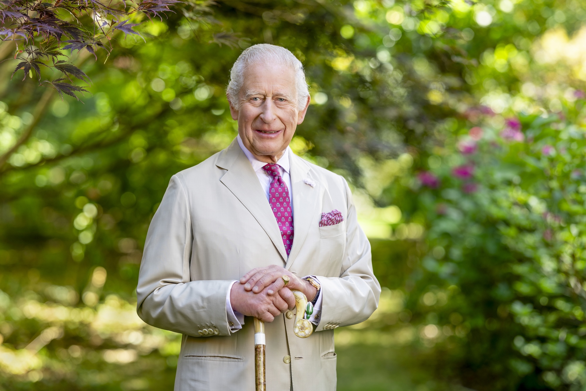 King Charles III New Portrait: Official Image Released Before Birthday ...