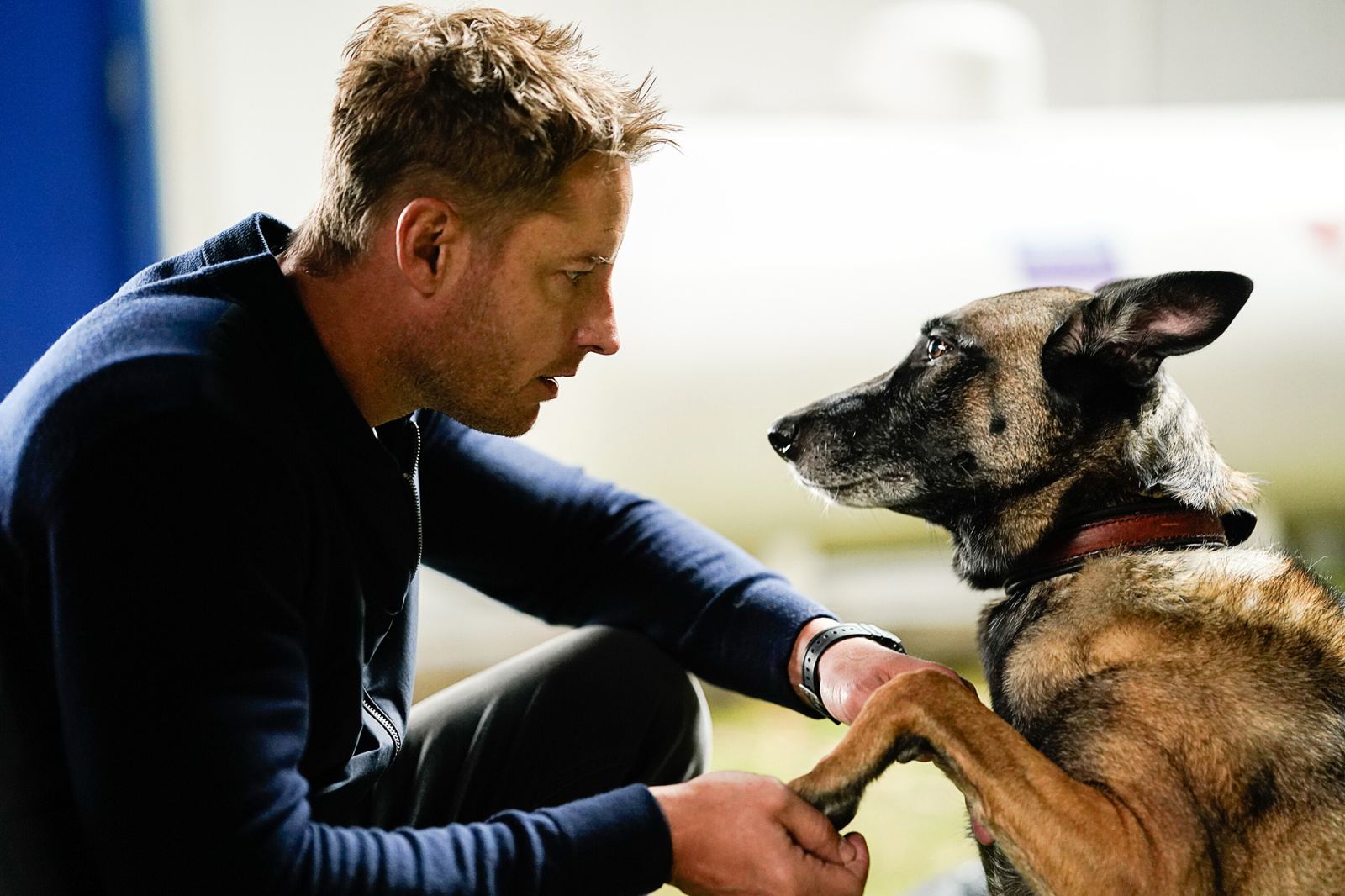 Tracker Recap: Justin Hartley's Colter Shaw Rescues a Stolen Dog | Us ...