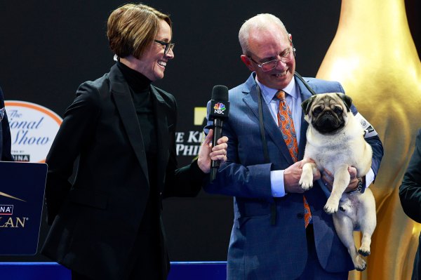 Vito the Pug Wins the 2024 National Dog Show | Us Weekly