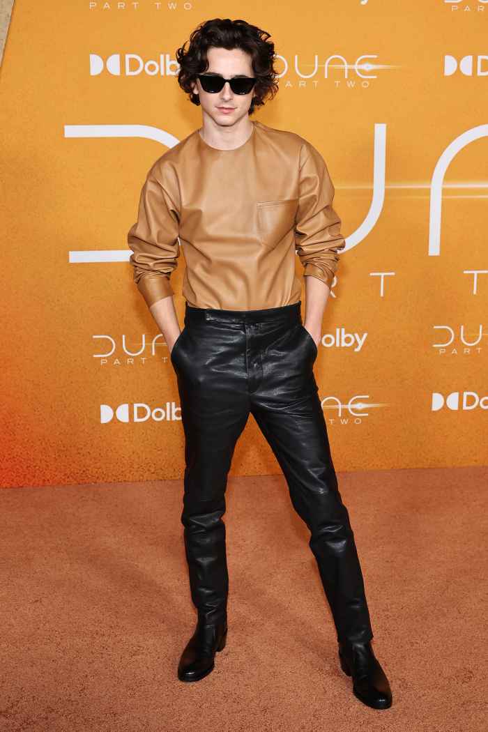 Timothee Chalamet’s Best Red Carpet Fashion: Pics | Us Weekly