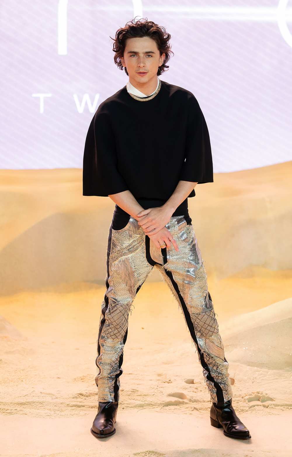 La mejor moda de Timothée Chalamet en la alfombra roja: Fotos | Us Weekly