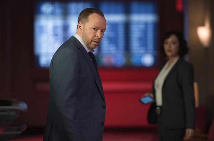 Everything the Blue Bloods Cast Has Said About Possible Spinoff | Us Weekly
