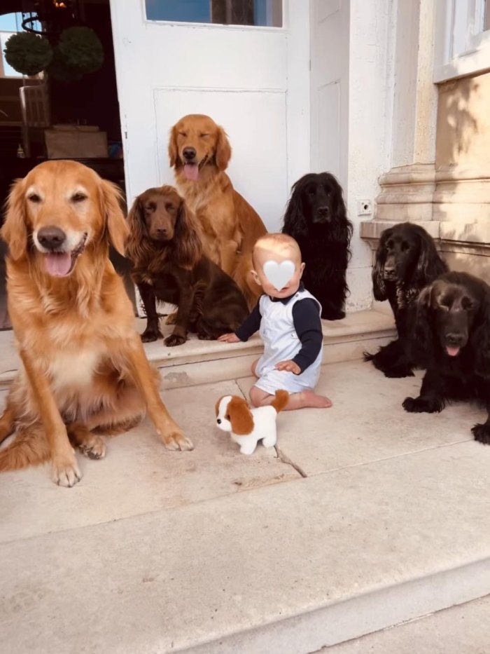 James Middleton Thinks His Dogs 'Get Recognized' More Than He Does | Us ...