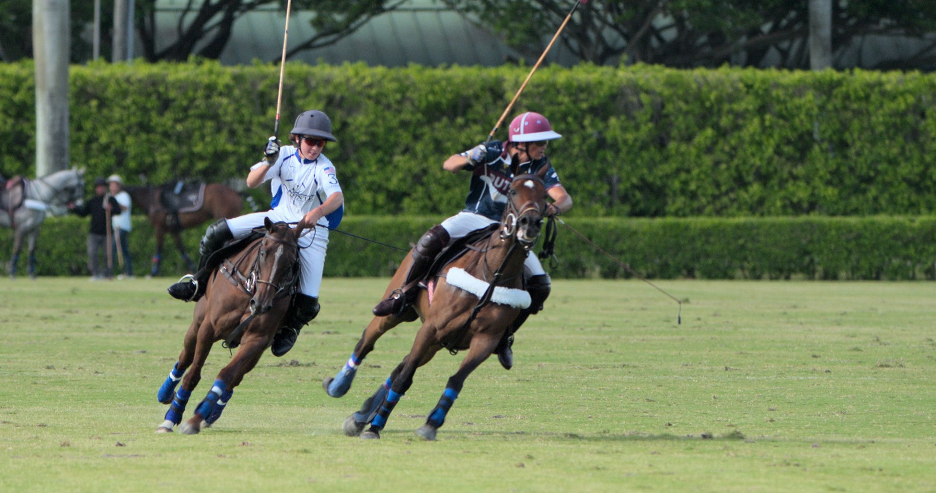 Polo Showrunner Says Harry Made Meghan Markle a Fan of the Sport | Us ...