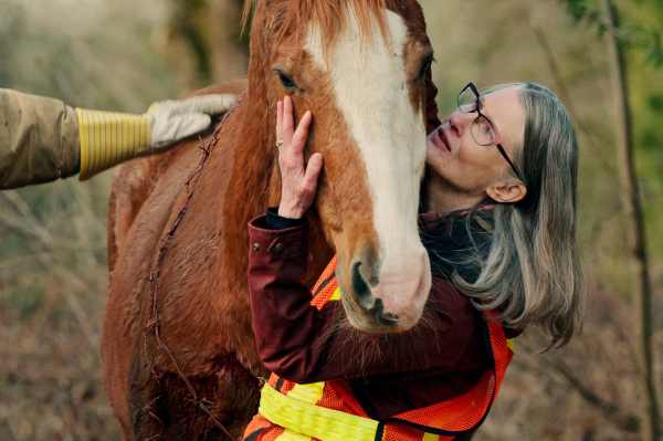 Virgin River Season 6 Ending Explained: Showrunner on Season 7, More ...